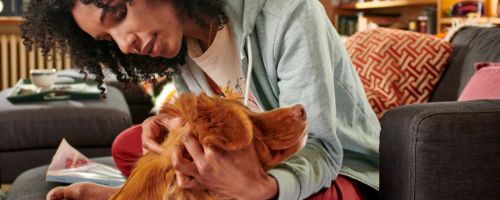 Vlooien voorkomen bij je hond; hoe je dit doet en waarom - Beaphar