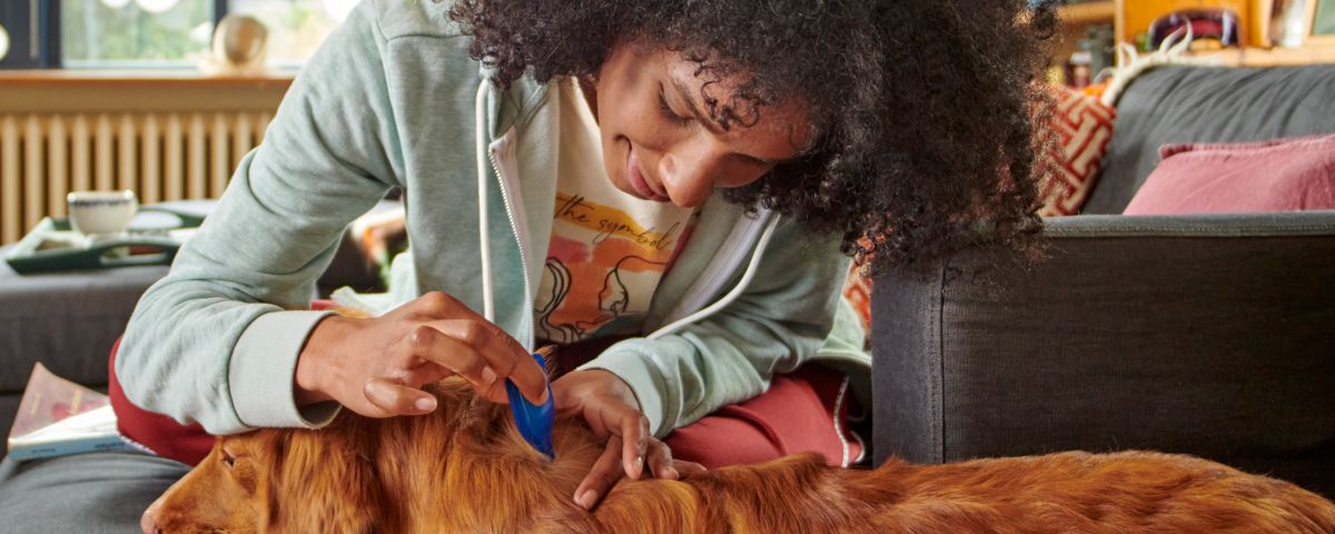 Vlooien voorkomen bij je hond; hoe je dit doet en waarom - Beaphar