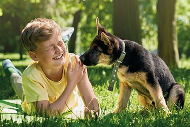 Lintworm bij hond en kat, alles wat je moet weten - Beaphar