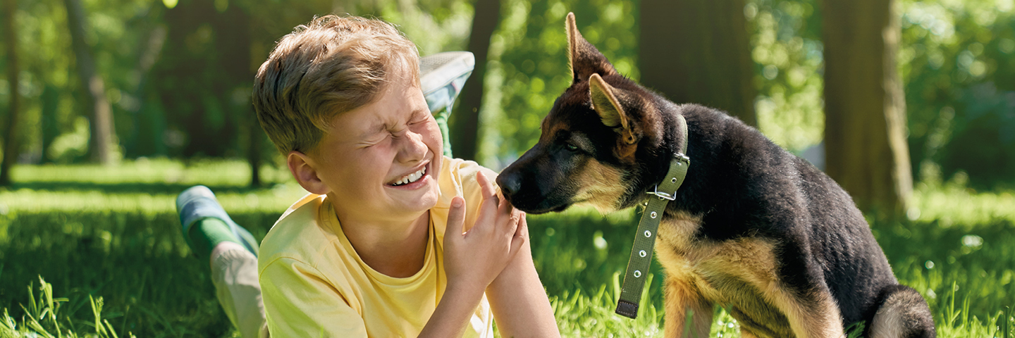 Lintworm bij hond en kat, alles wat je moet weten - Beaphar