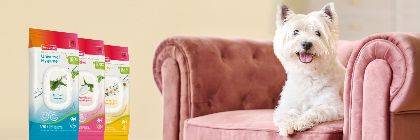Beaphar Pet Wipes for dogs and cats - Beaphar