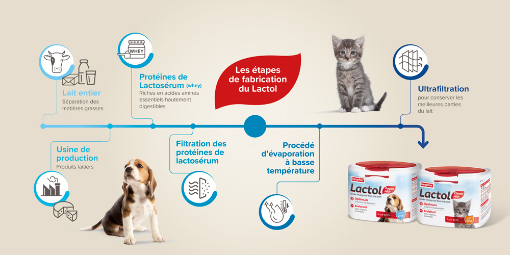 Gamme Lactol, laits maternisés pour chiot et chaton - Beaphar