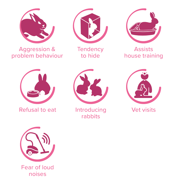 The Beaphar RabbitComfort® Calming Range - help your rabbit feel at ...