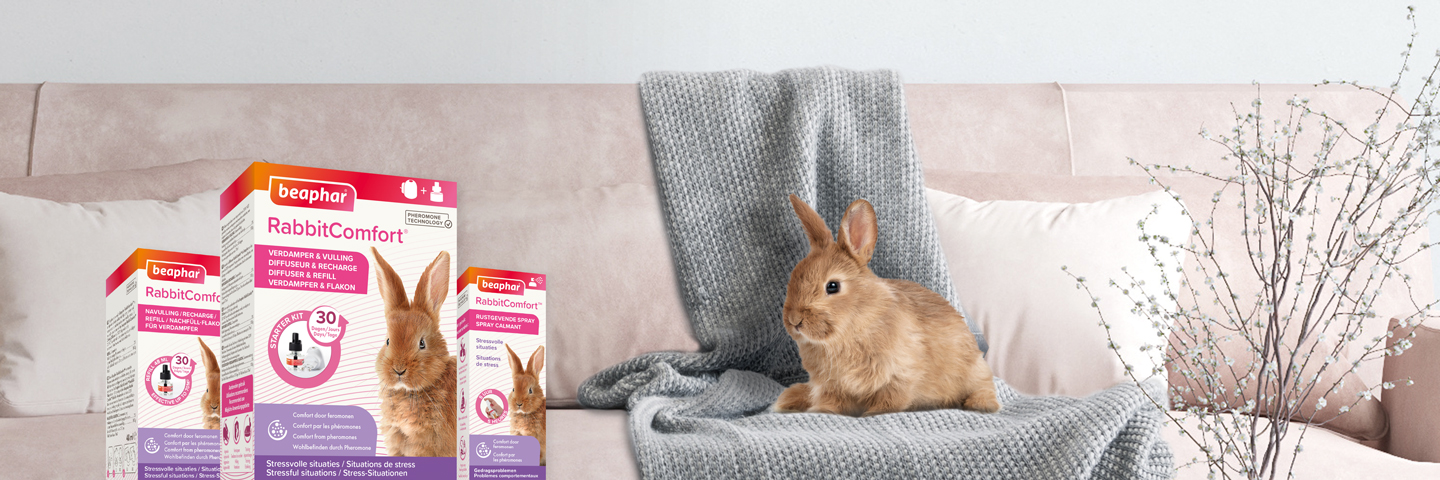 The Beaphar RabbitComfort® Calming Range helps rabbits feel at ease ...