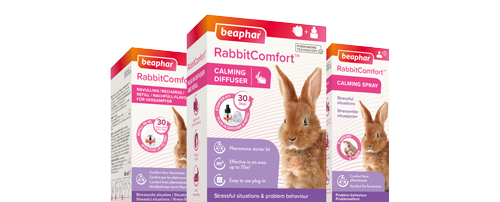 The Beaphar RabbitComfort® Calming Range - help your rabbit feel at ...