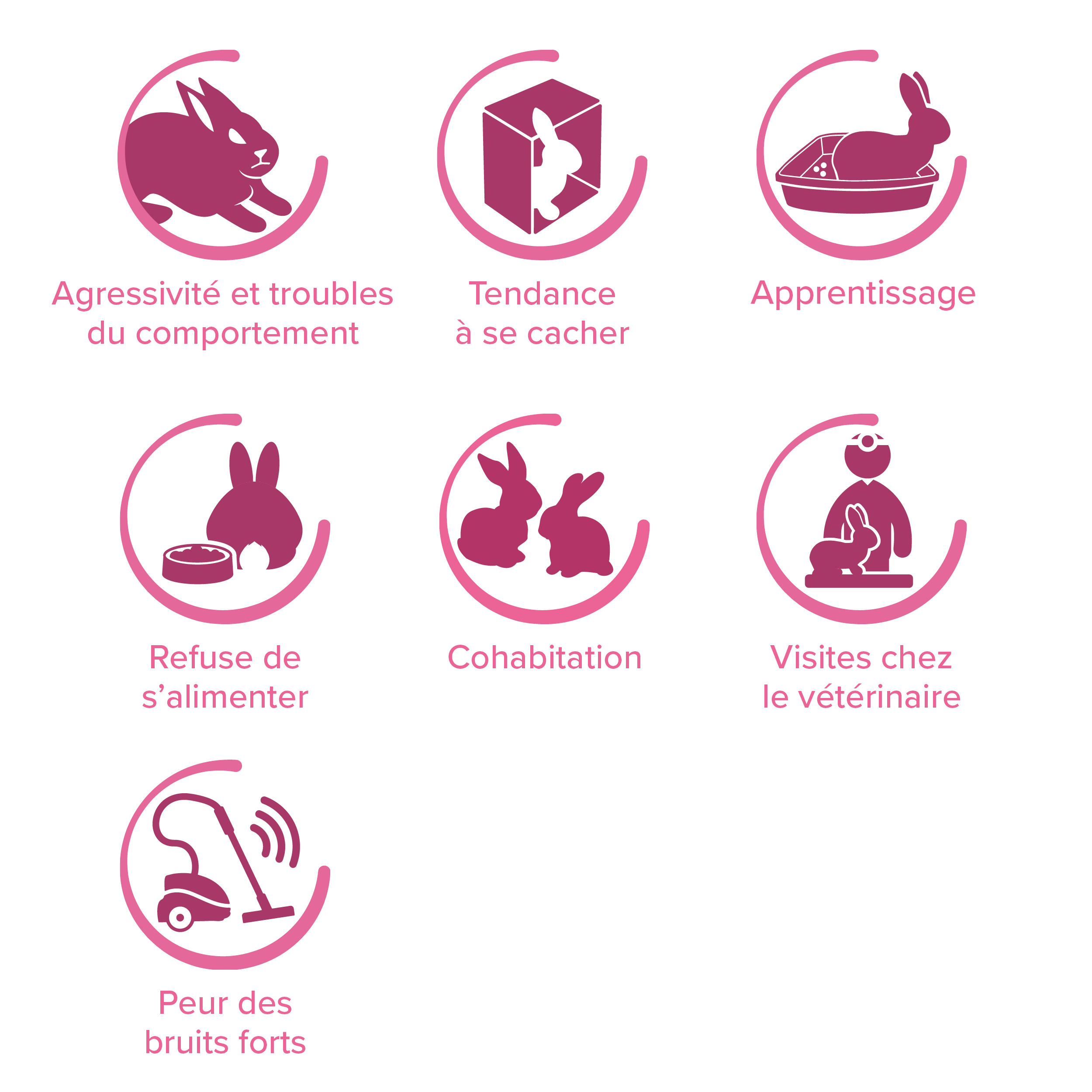 Gamme RabbitComfort®, aide les lapins à se sentir apaisés en toute ...