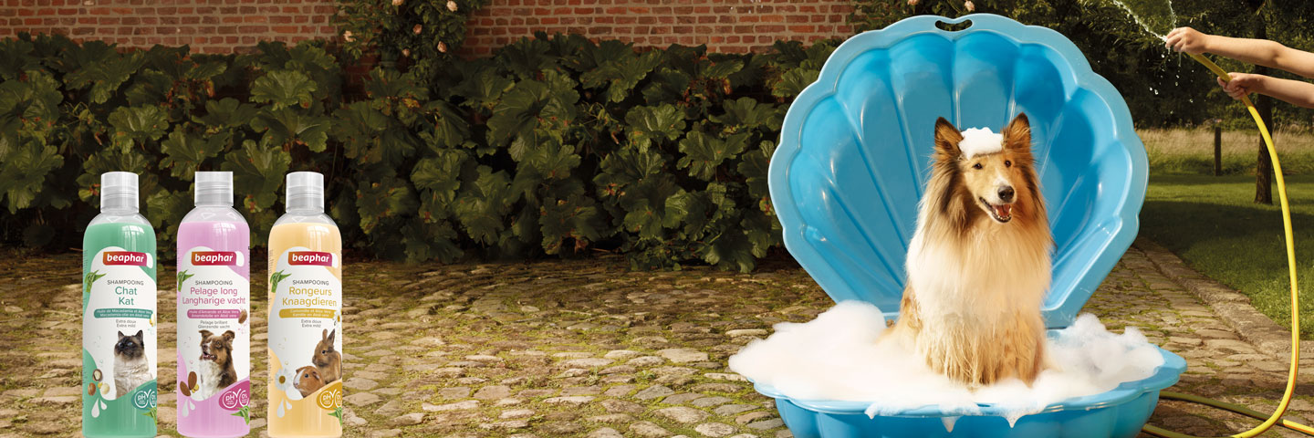 Shampoo range for dogs, cats and small animals - Beaphar