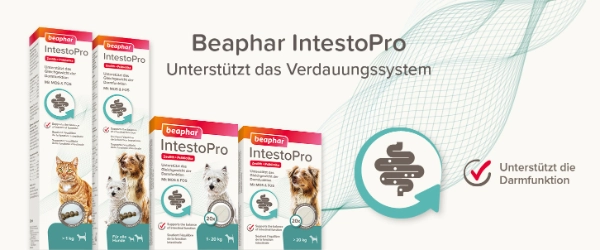 Beaphar IntestoPro - Unterstützt das Verdauungssystem deines Tieres ...
