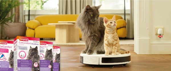 Veelgestelde vragen over Beaphar CatComfort - Beaphar