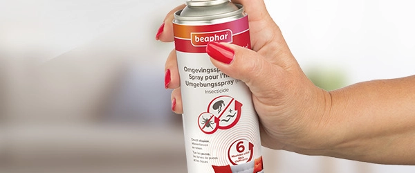 Vlooien bestrijden in huis; zo doe je dat snel en effectief - Beaphar