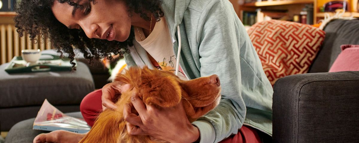 Een vlooienbeet herkennen bij hond en kat doe je zo - Beaphar