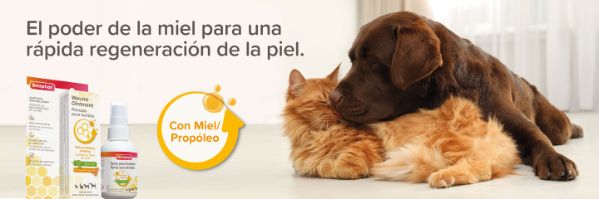 Pomada y Spray para heridas Beaphar - Beaphar