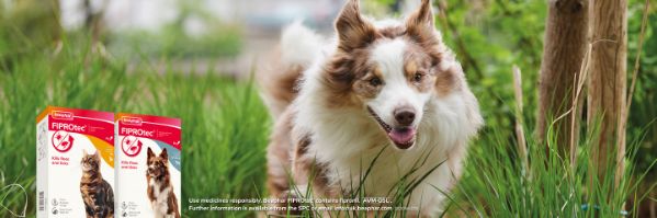 Beaphar FIPROtec® Spot-On for cats and dogs - Beaphar