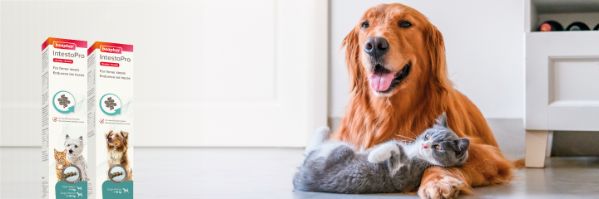 Beaphar IntestoPro - sooth your pet's sensitive tummy - Beaphar