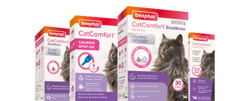 Beaphar CatComfort® - help your cat stay calm during stressful ...