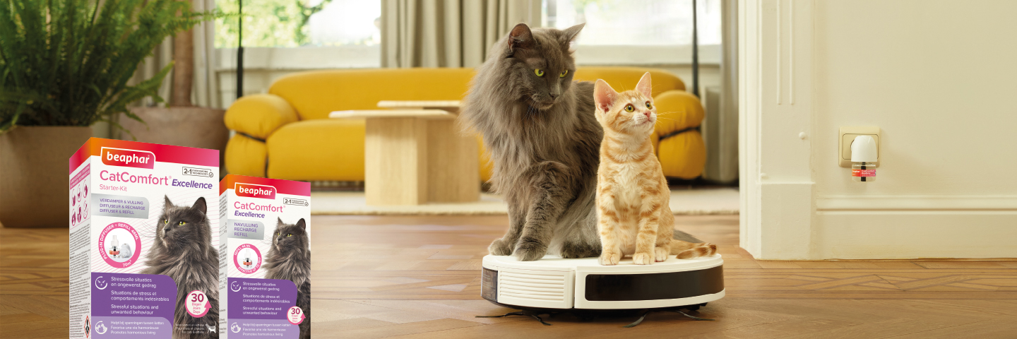 Beaphar CatComfort® stelt je kat gerust bij stressvolle situaties - Beaphar