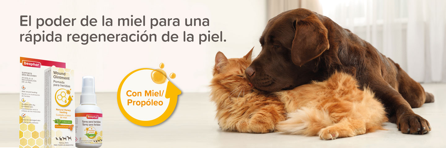 Pomada y Spray para heridas Beaphar - Beaphar