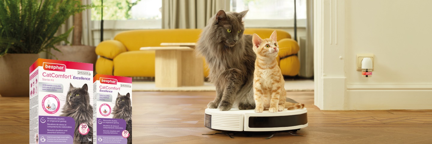 Beaphar CatComfort® stelt je kat gerust bij stressvolle situaties - Beaphar